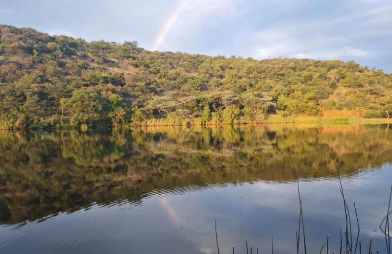 Gallery - Intaba Indle