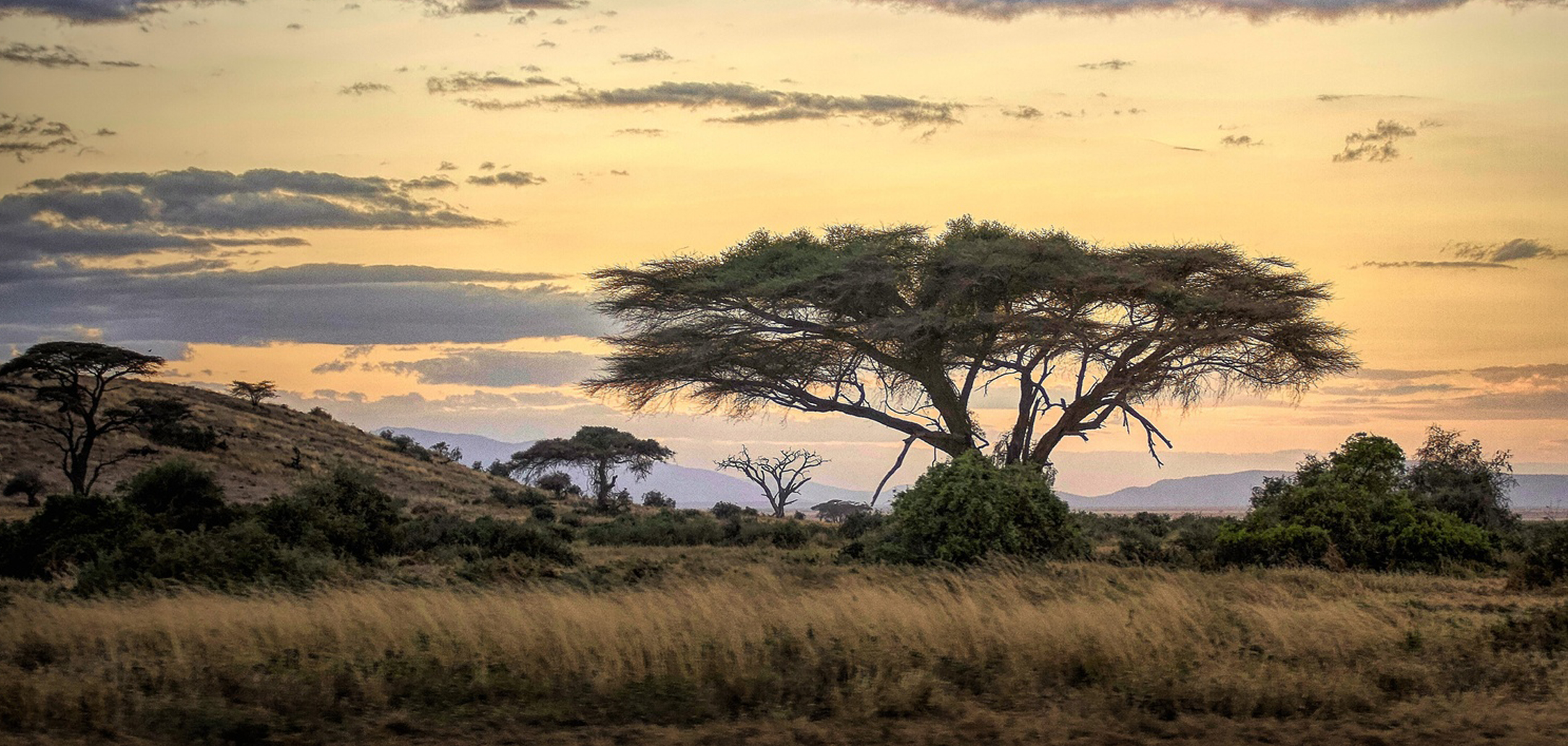 Contact - Intaba Indle