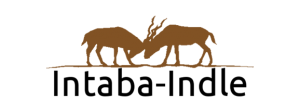 Home - Intaba Indle