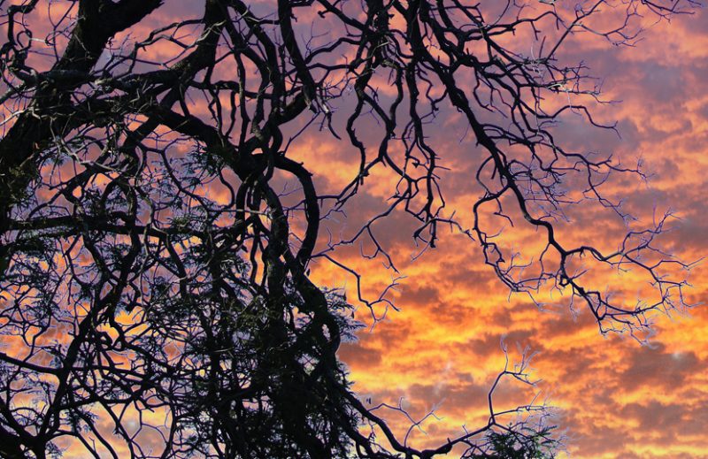 Gallery - Intaba Indle