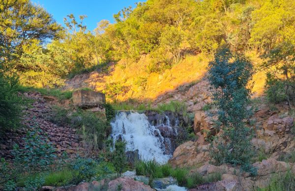 Gallery - Intaba Indle